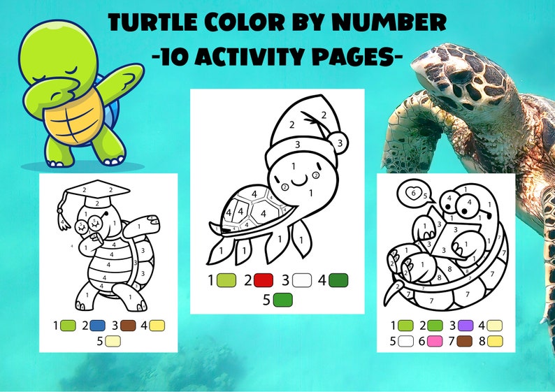 Turtle Color by Number: 10 Printable Activity Pages (PDF File) - Etsy