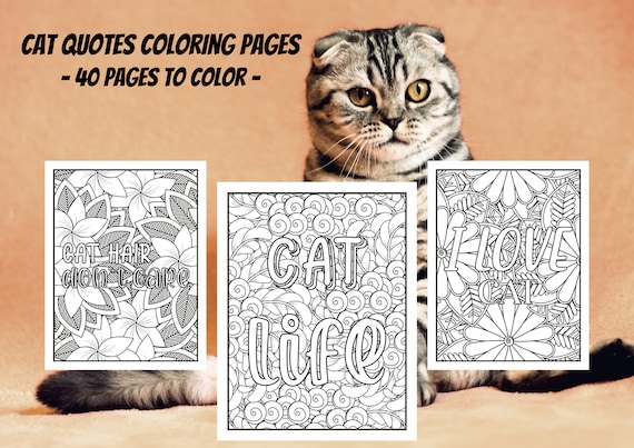 Cat Quotes Coloring Pages for Cats Lovers 38 Printable Pages - Etsy