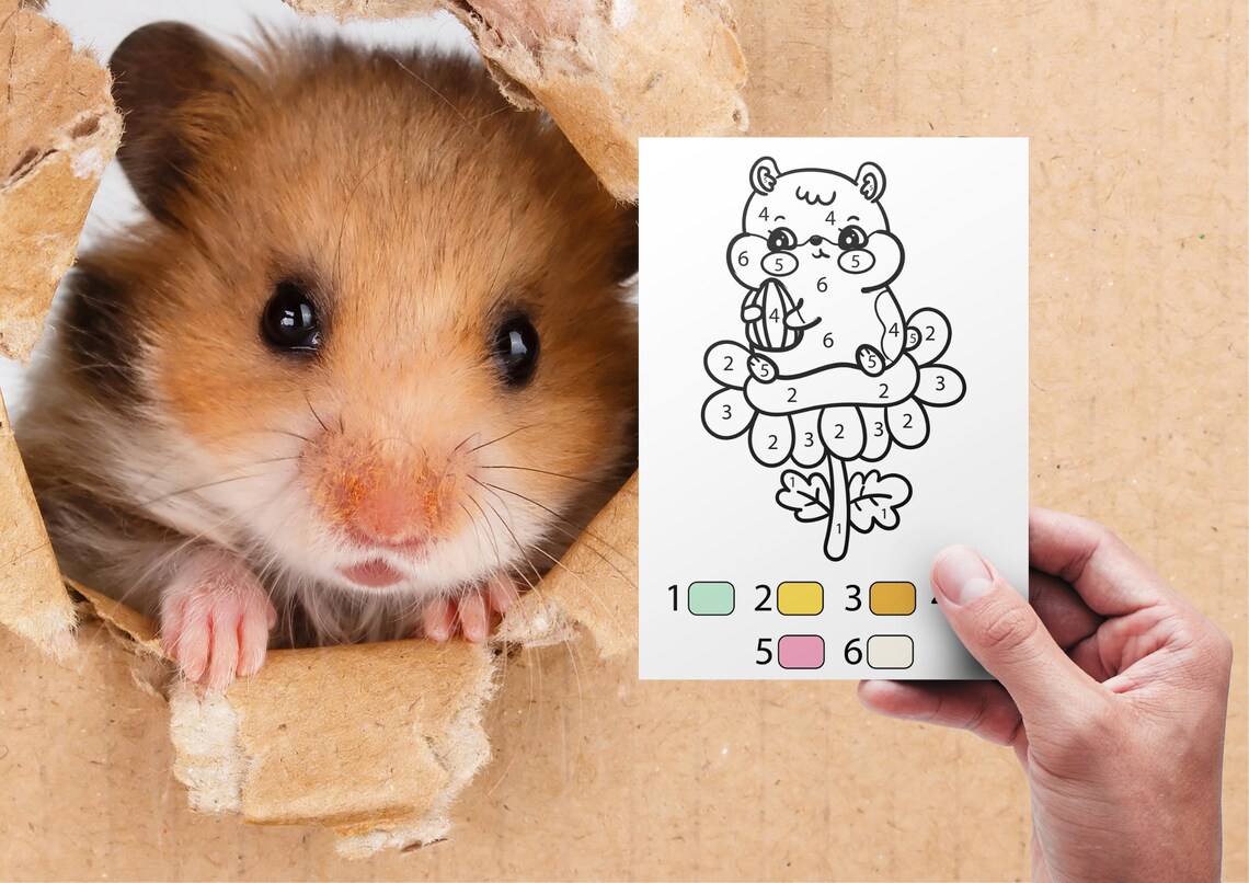 Cute Hamster Coloring by Number for Kids 10 Printable Pages - Etsy