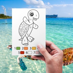 Turtle Color by Number for Kids, 10 Printable Pages, Paint by Numbers ...
