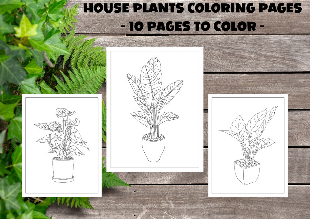 House Plants Coloring Pages, 10 Printable Pages, Gorgeous Botanical ...