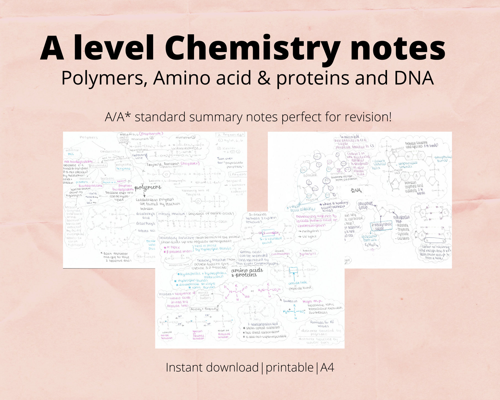 A Level Chemistry Notes: Polymers, Amino Acids & Proteins and DNA - A ...