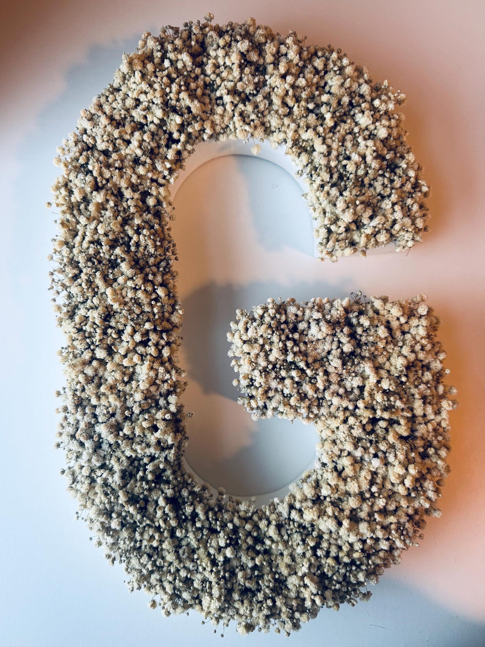 Dried Baby's Breath Initial Letter Wedding Preserved Babys Breath ...