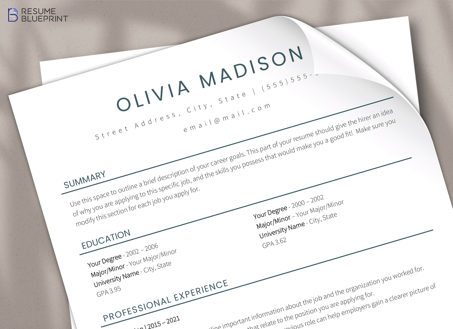 Functional Resume Template Microsoft Word One Page Resume Professional ...