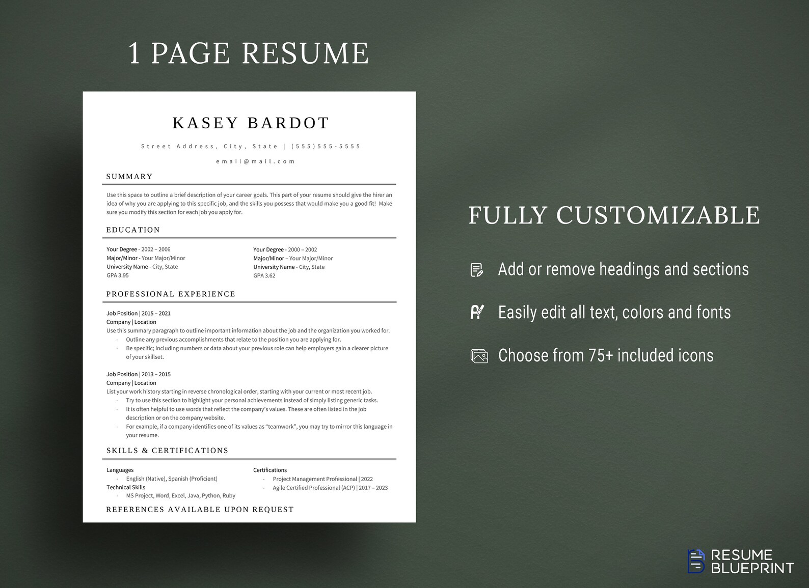 Functional Resume Template Microsoft Word One Page Resume Professional ...
