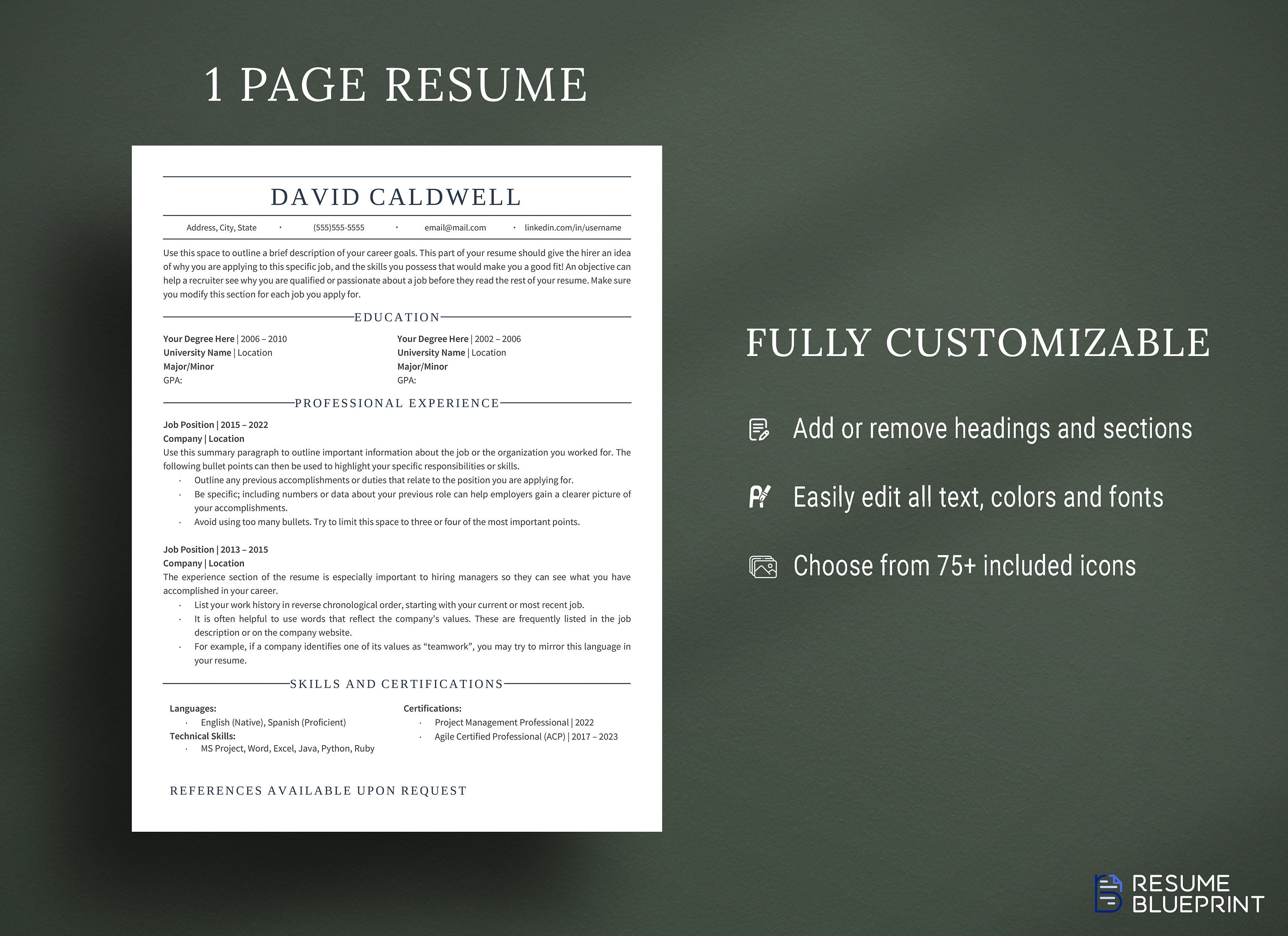Resume Template Professional CV 2 Page Resume Template for Microsoft ...