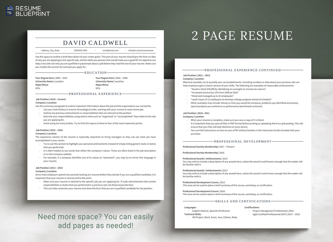 Resume Template Professional CV 2 Page Resume Template for Microsoft ...