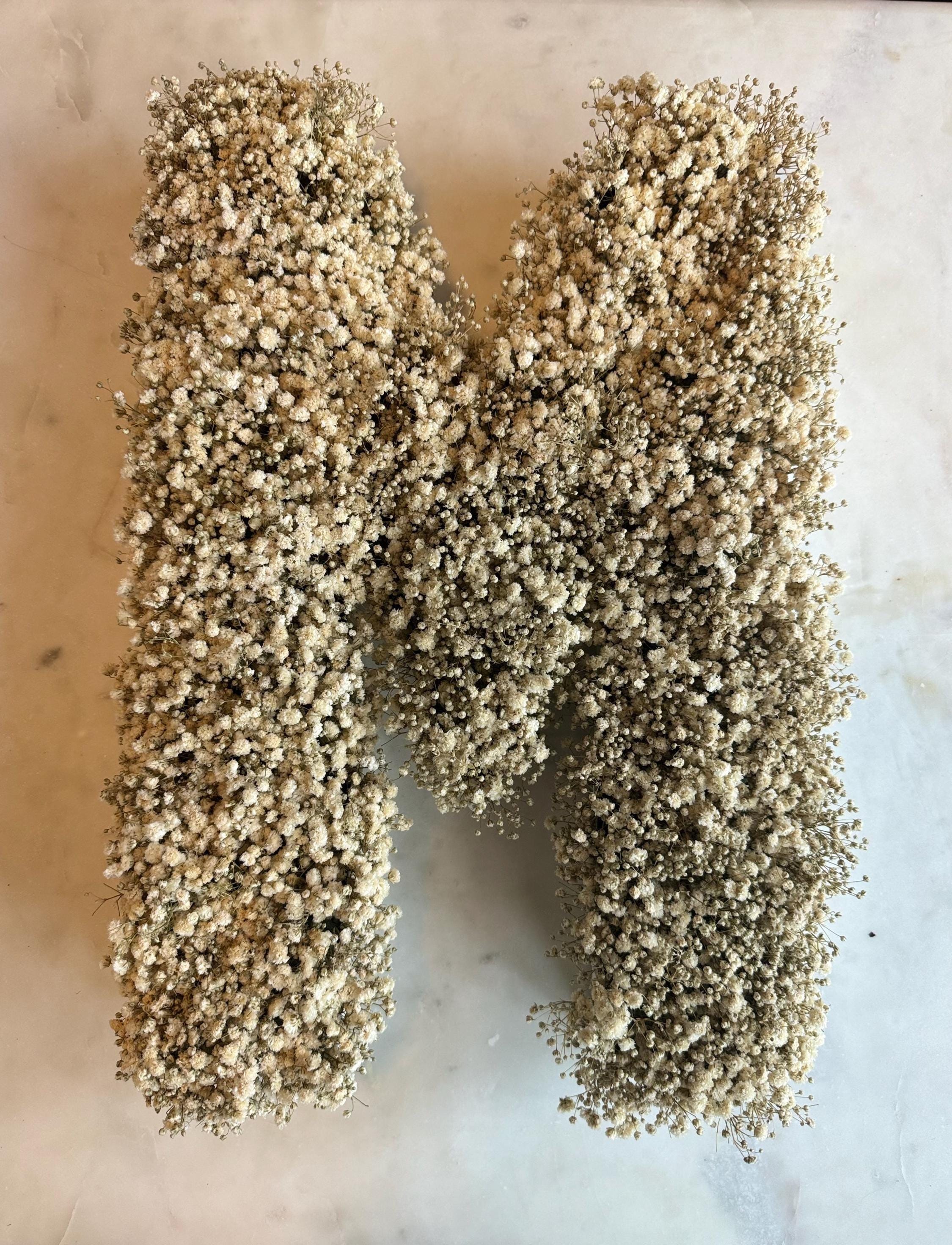 Dried Baby's Breath Initial Letter Wedding Preserved Babys Breath ...