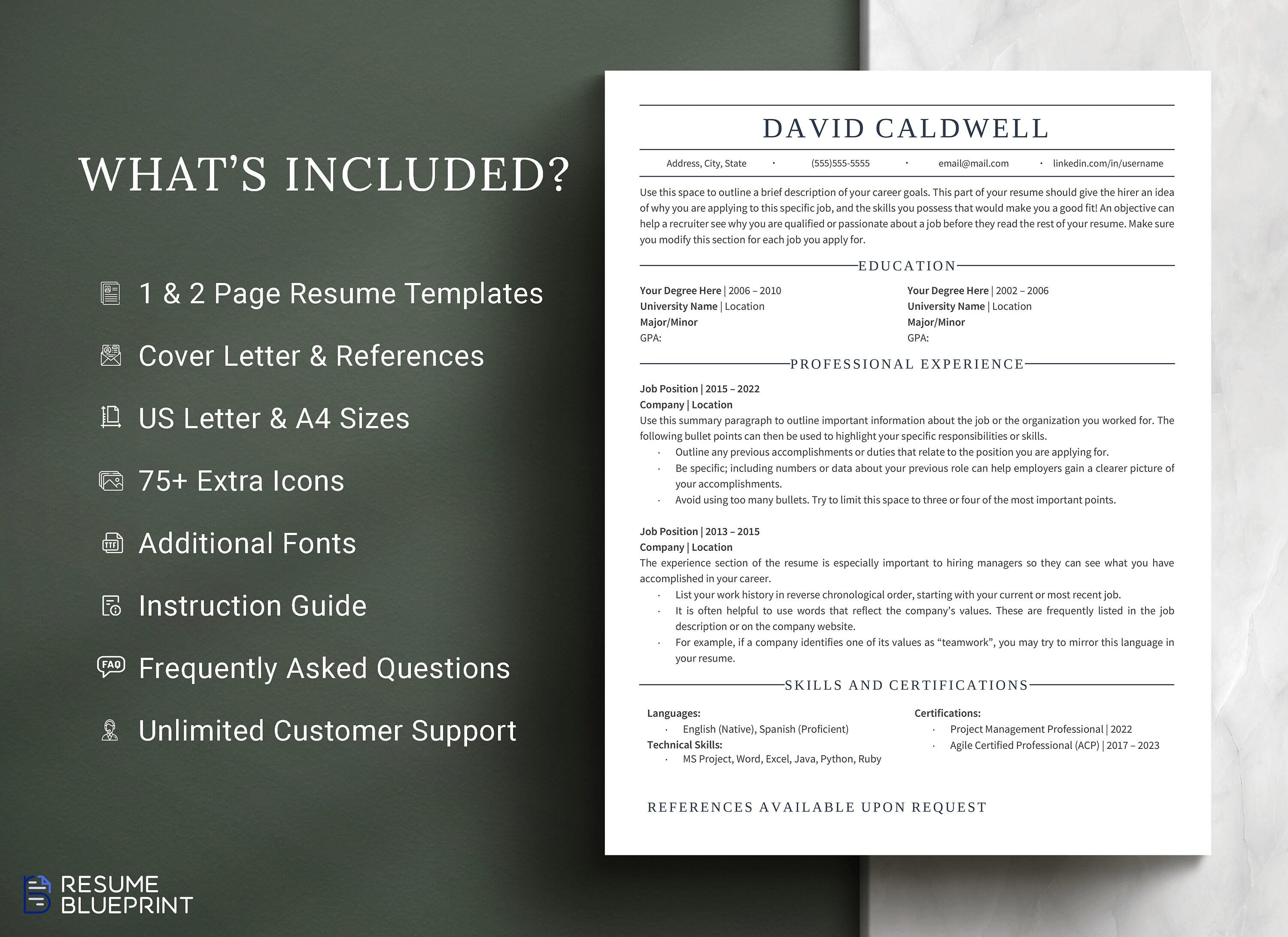 Resume Template Professional CV 2 Page Resume Template for Microsoft ...