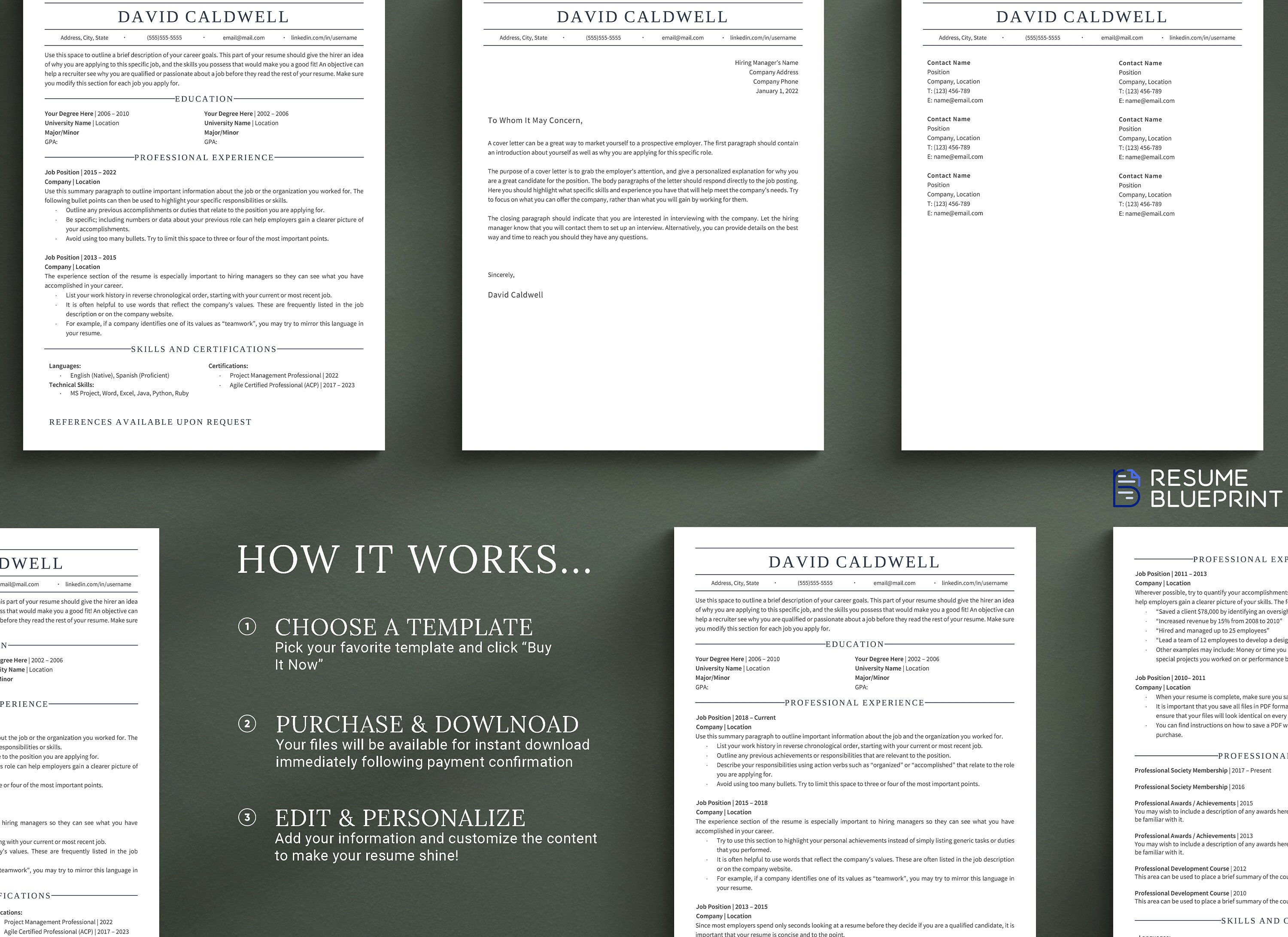 Resume Template Professional CV 2 Page Resume Template for Microsoft ...