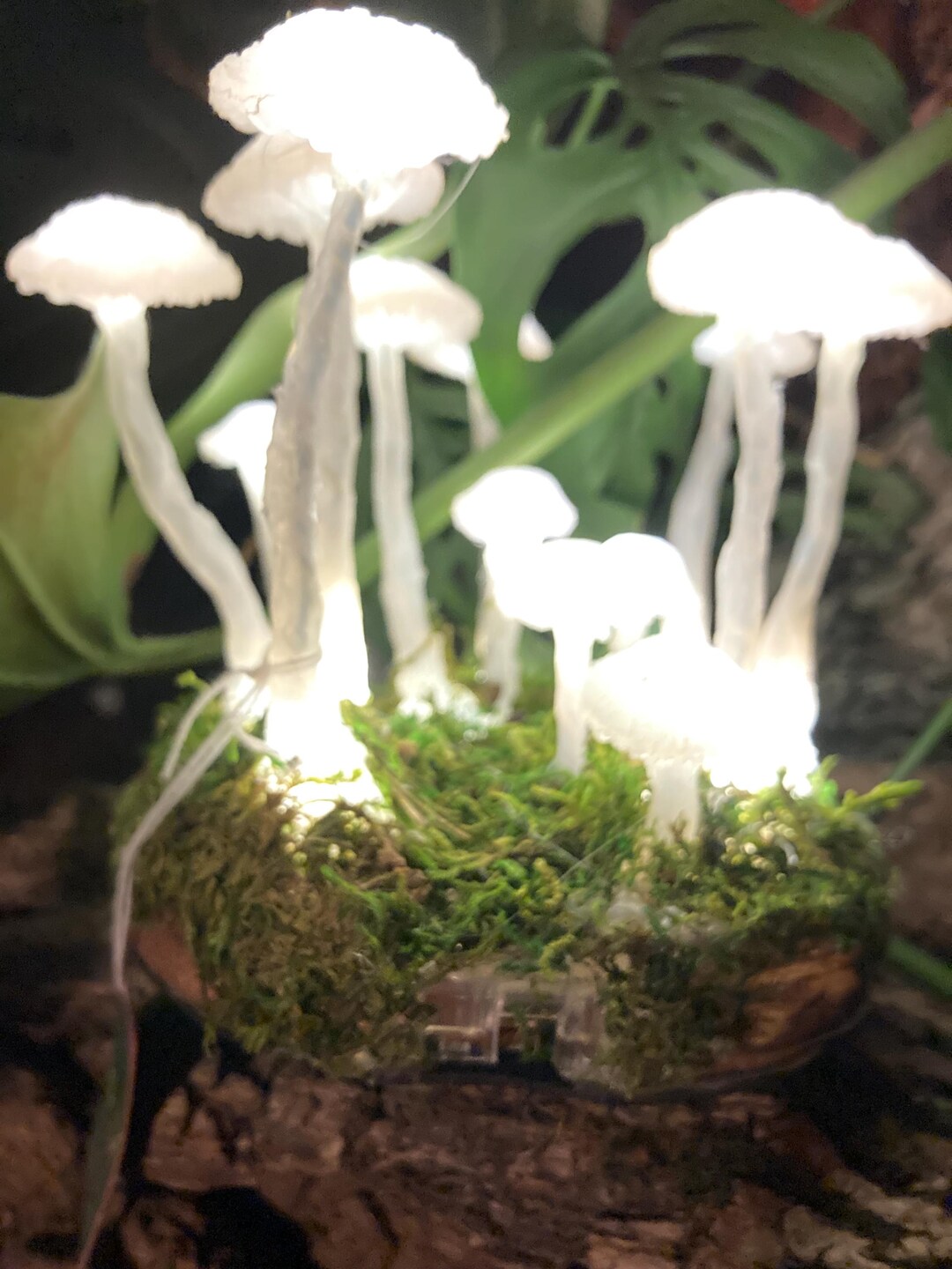 Mushroom Lights,lumieshrooms,battery Operated Lights,natural Light ...