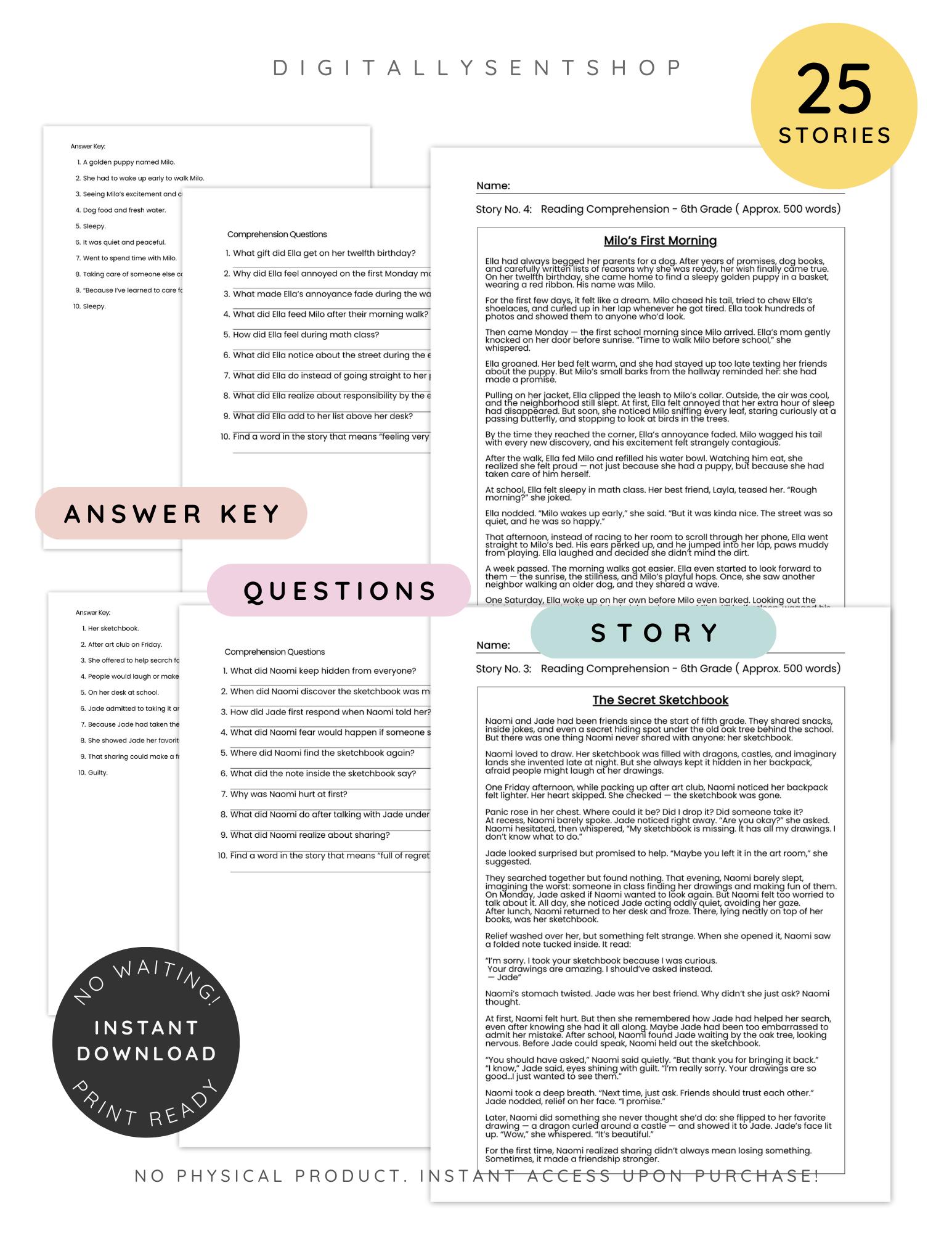 Reading Comprehension Grade 6 Set 2 | 25 Stories With Questions ...