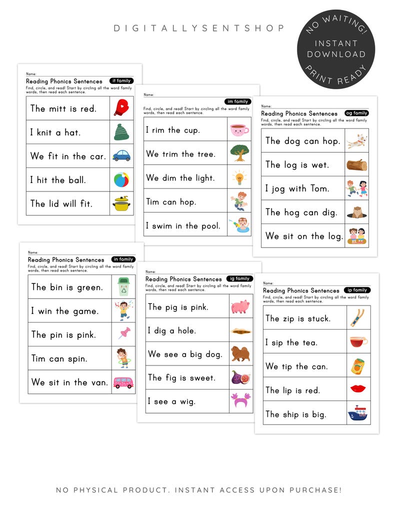 250 Learn to Read CVC Word Family Sentences Workbook, Phonics Sentences ...