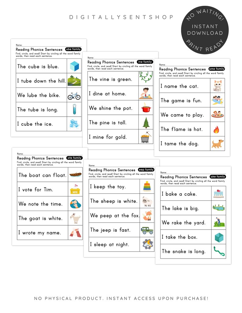 250 Learn to Read CVC Word Family Sentences Workbook, Phonics Sentences ...