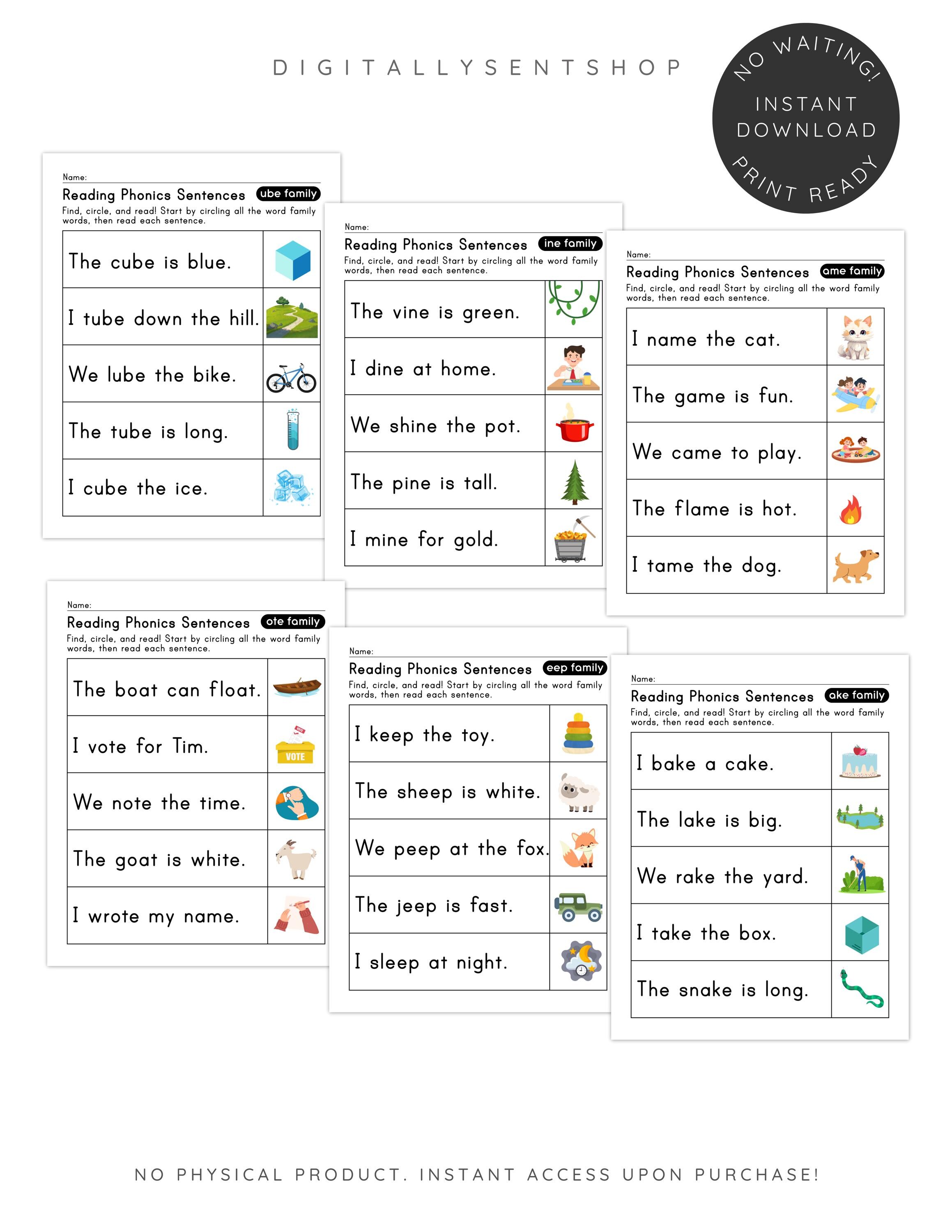 250 Learn to Read CVC Word Family Sentences Workbook, Phonics Sentences ...