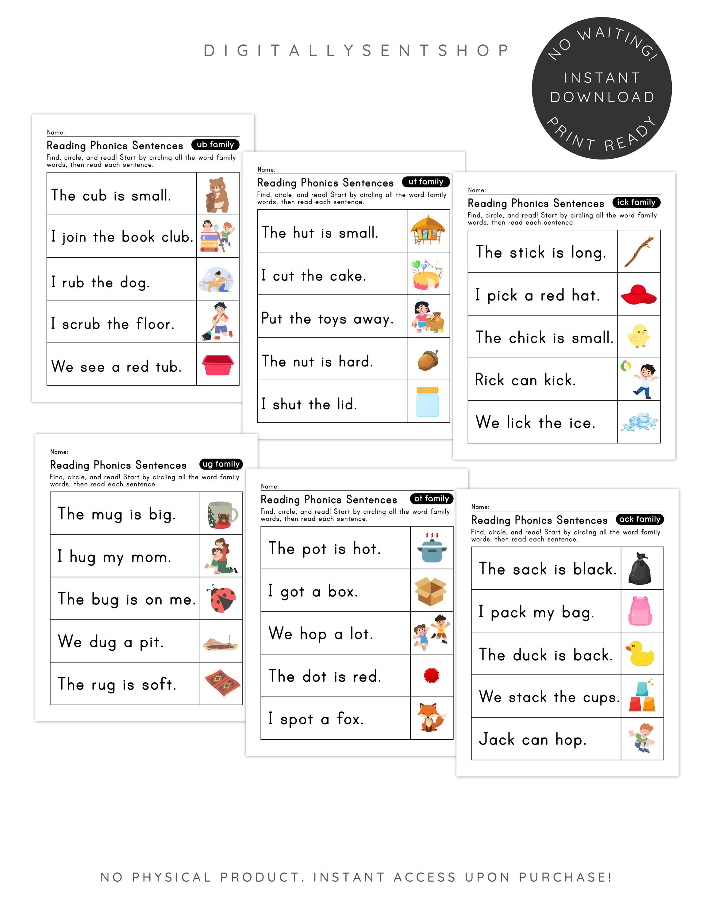 250 Learn to Read CVC Word Family Sentences Workbook, Phonics Sentences ...
