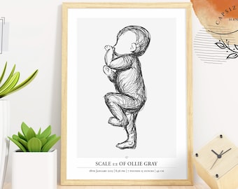The Baby Birth Poster 1:1 Scale Personalised Newborn Illustration for ...