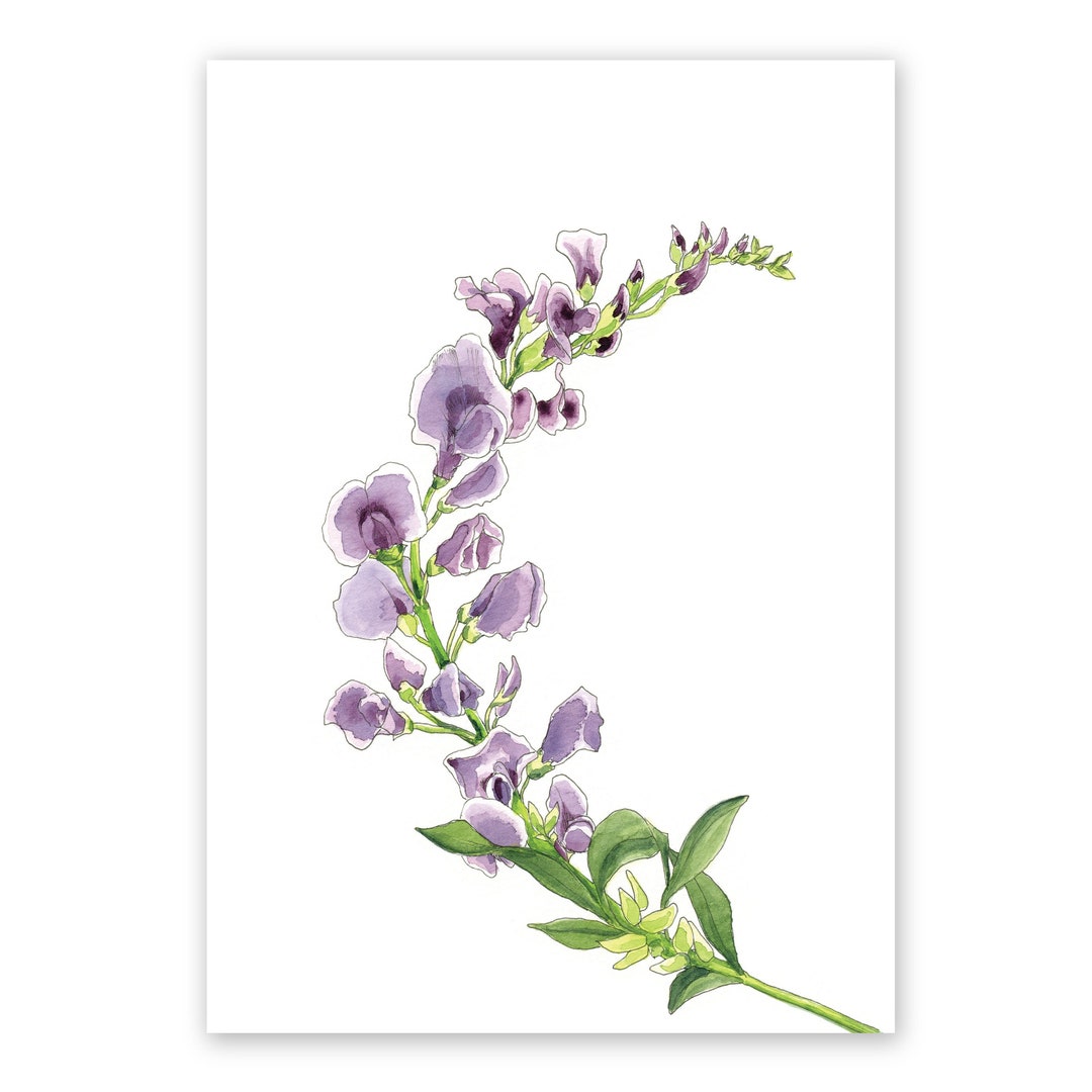 The Happy Wanderer Art Watercolour Print,australian Art/floral ...