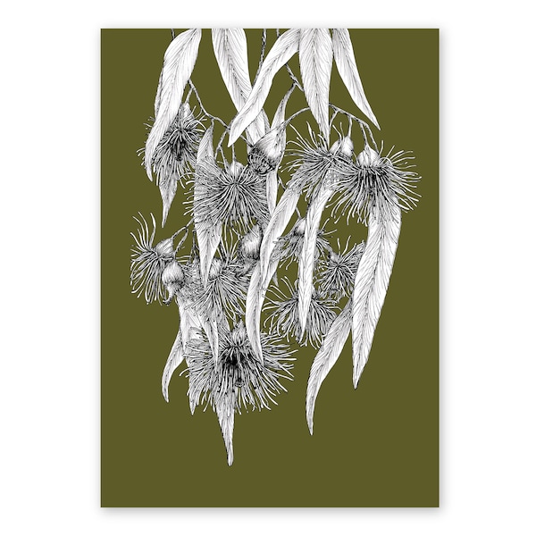 Flowering Gum - Etsy UK