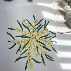 The Wattle Watercolour Art Print,australian Art/floral Illustration, A4 ...