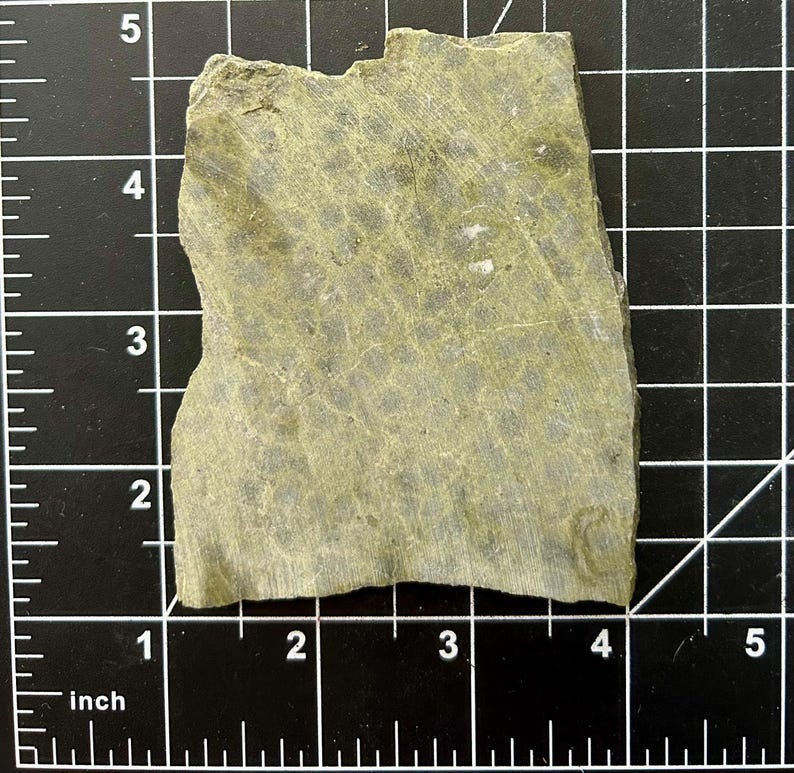 Serpentine Stone Slab: Olive and Dark Green, Lapidary Material (107g, 5 ...