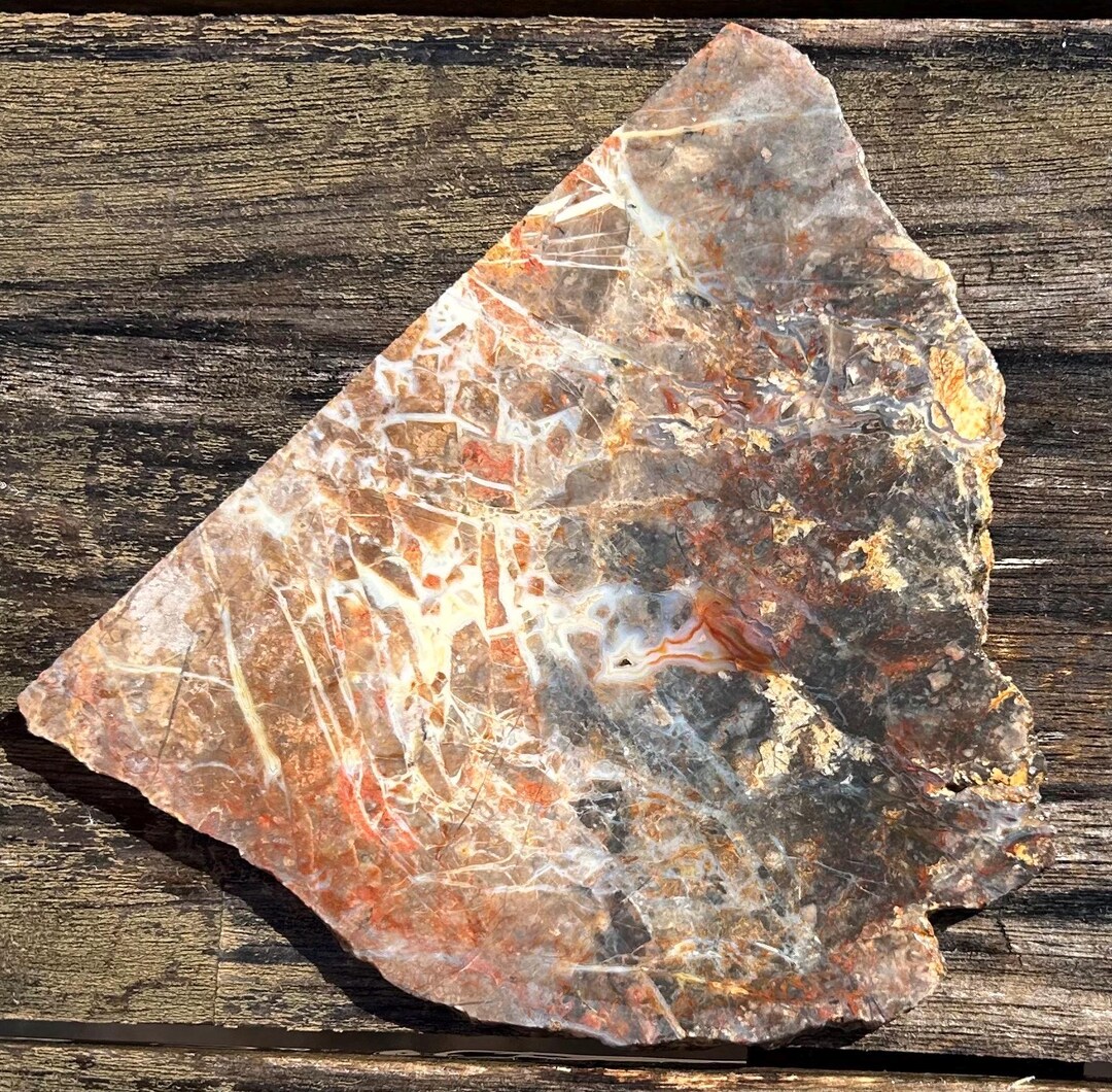 Opalized Petrified Wood Slab: Lapidary Material (131g, 6mm Thick) - Etsy
