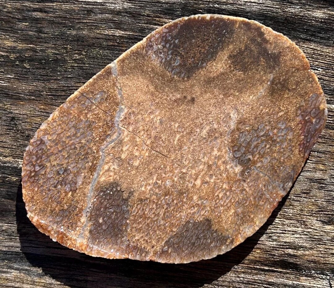 Gem Bone Stone Slab: Lapidary Material (47g, 6.2mm Thick) - Etsy
