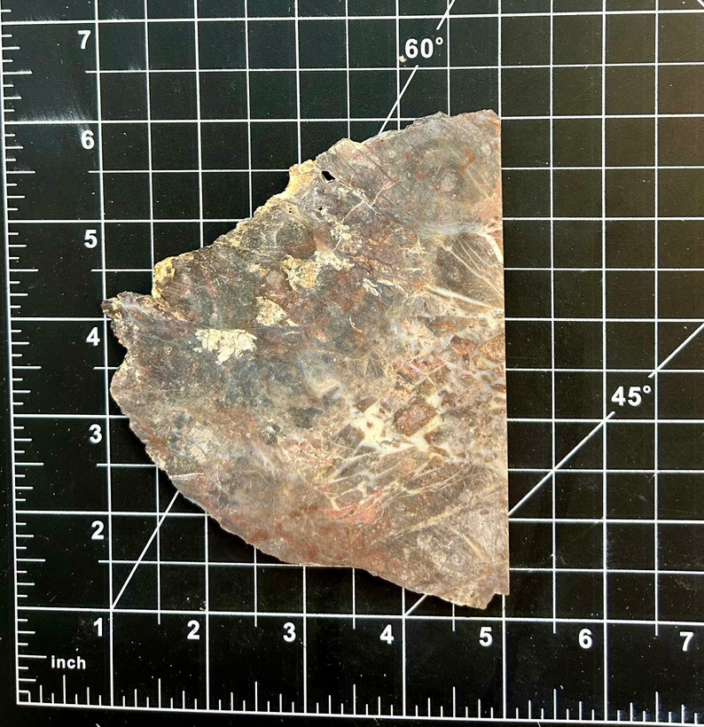 Petrified Opalized Wood Lapidary Slab, 6mm Thick, Agatized Wood, Rough ...