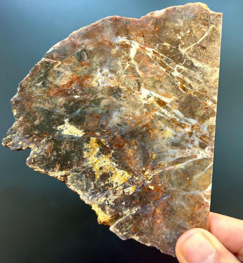 Petrified Opalized Wood Lapidary Slab, 6mm Thick, Agatized Wood, Rough ...