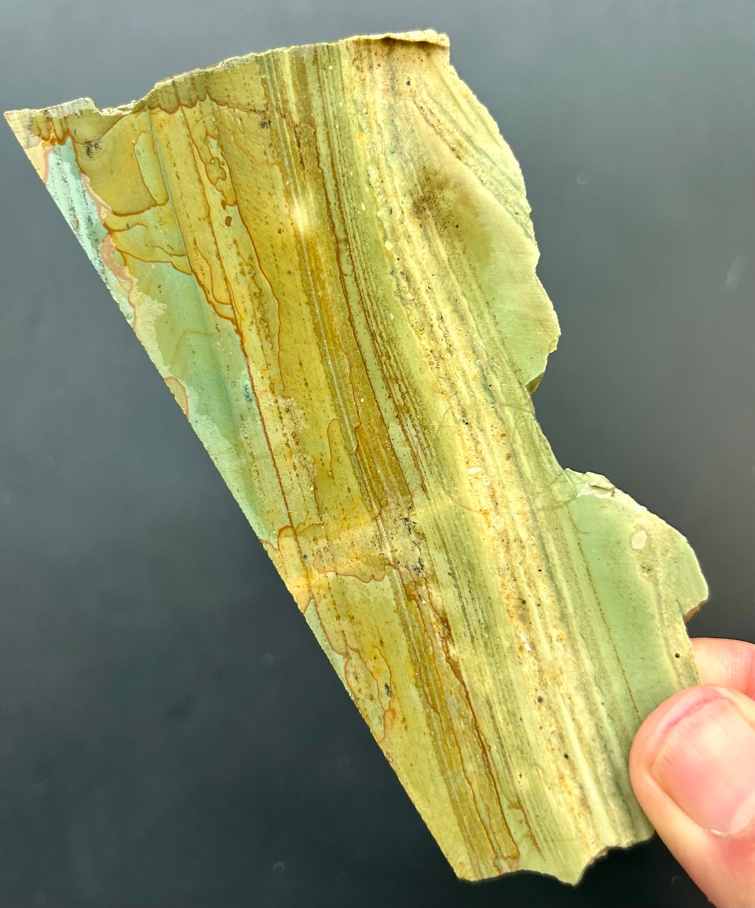 Gary Green Jasper Stone Lapidary Slab, 6mm Thick, Petrified Bog Wood ...