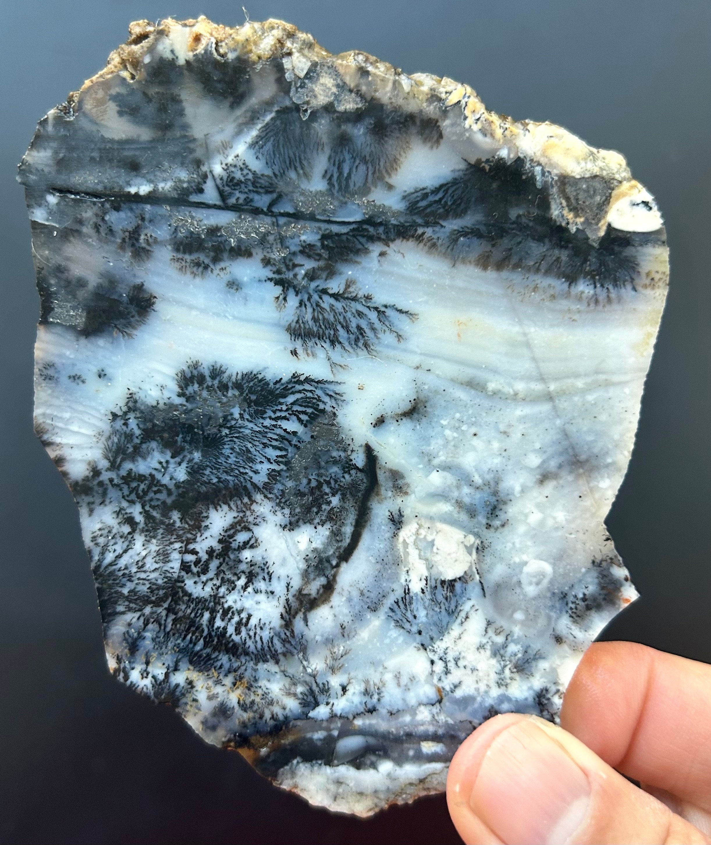 Dendritic Agate Stone Lapidary Slab, Medicine Bow Dendritic Agate ...