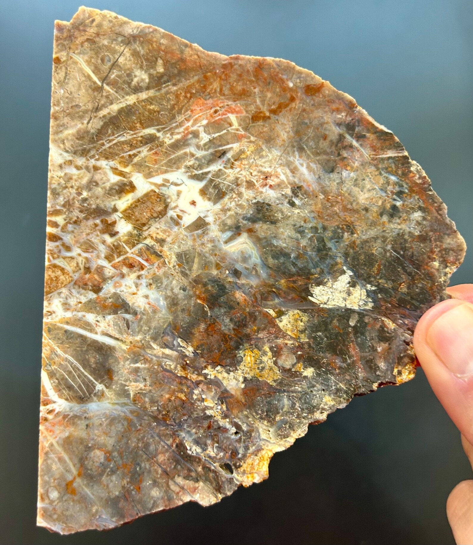 Petrified Opalized Wood Lapidary Slab, 6mm Thick, Agatized Wood, Rough ...