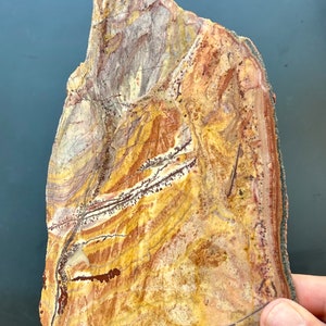 Sonoran Dendritic Rhyolite Stone Lapidary Slab, 7mm Thick, Rough Stone ...
