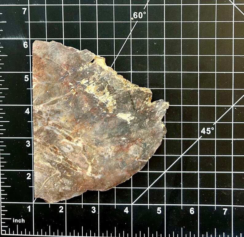 Petrified Opalized Wood Lapidary Slab, 6mm Thick, Agatized Wood, Rough ...