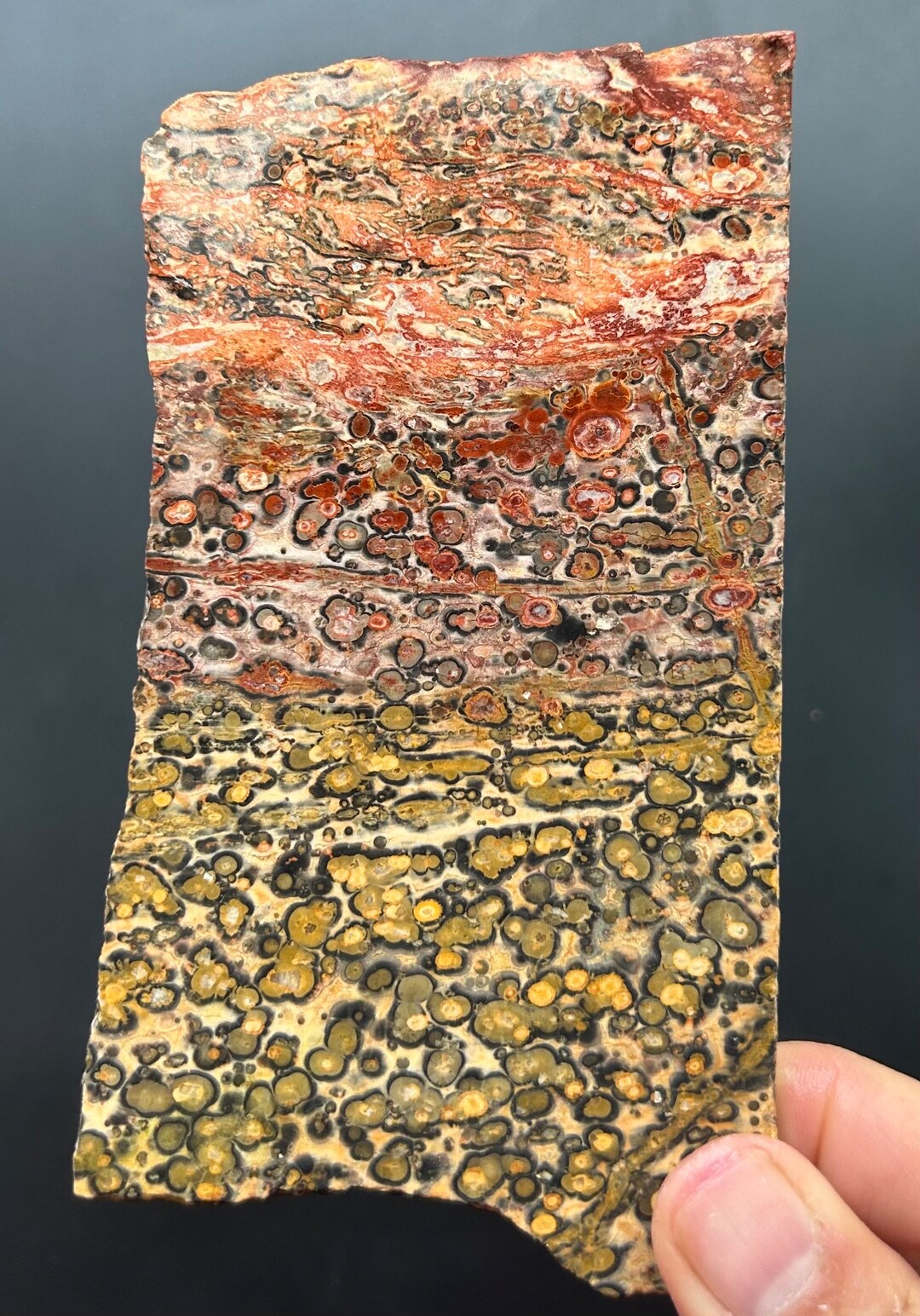 Leopard Skin Jasper Stone Lapidary Slab, 7mm Thick, Rough Stone ...