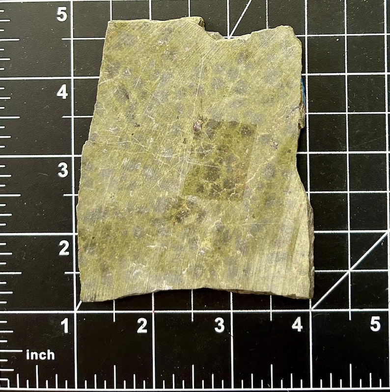 Serpentine Stone Slab: Olive and Dark Green, Lapidary Material (107g, 5 ...