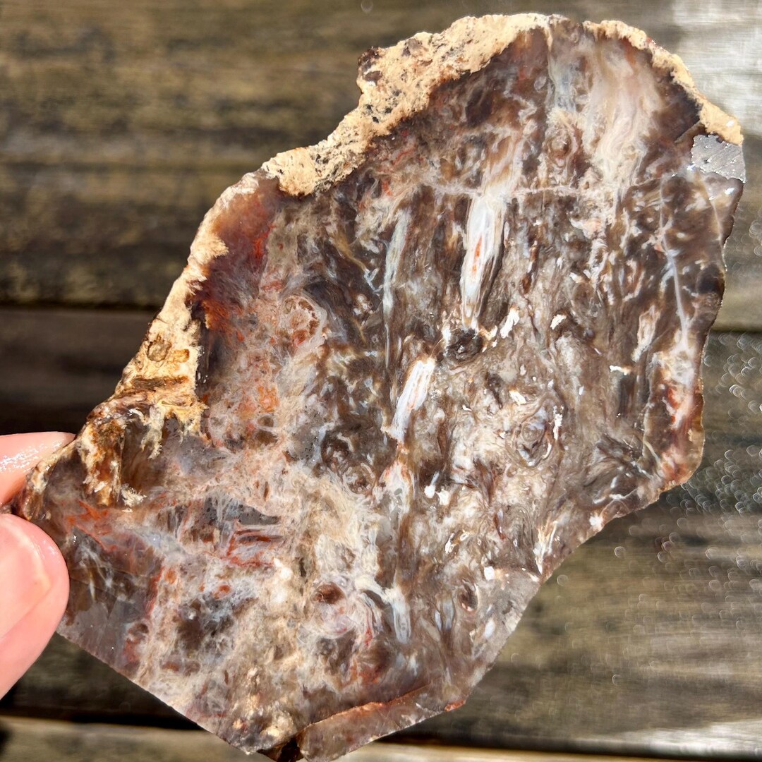 Agate/agatized Wood Stone Slab: White Veining, Unpolished Lapidary ...