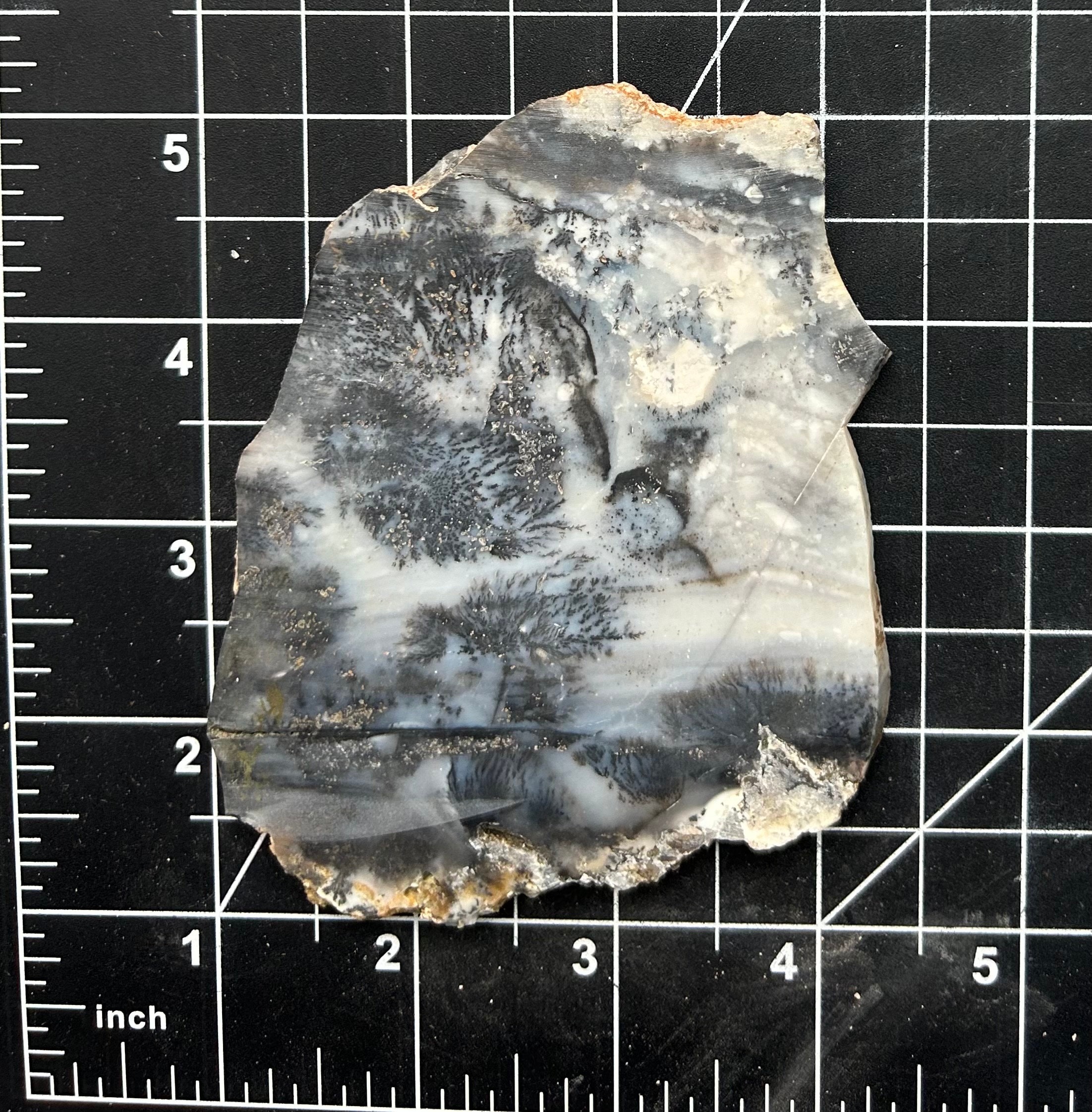 Dendritic Agate Stone Lapidary Slab, Medicine Bow Dendritic Agate ...
