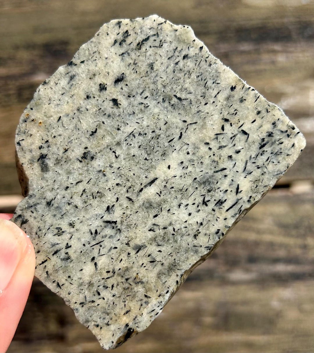 Black Tourmaline in Matrix Stone Slab: Unpolished Lapidary Material ...