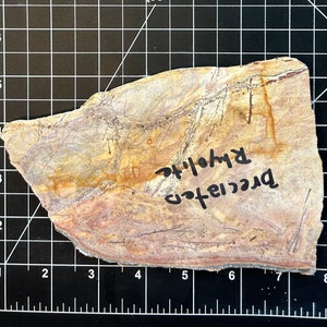 Sonoran Dendritic Rhyolite Stone Lapidary Slab, 7mm Thick, Rough Stone ...