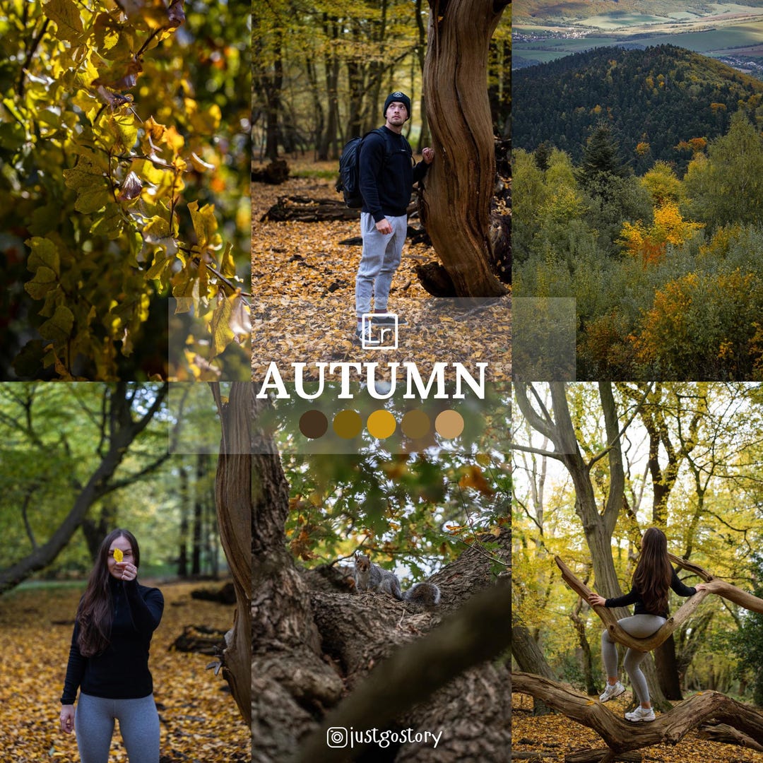 Presets AUTUMN (8+2 FREE) Desktop and Mobile Adobe Lightroom Presets - Etsy