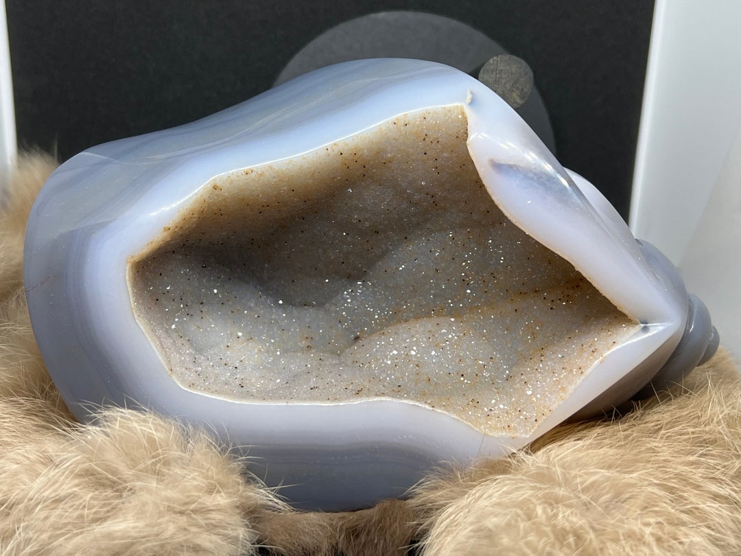 Druzy Agate Partridge Tun Shell - Etsy