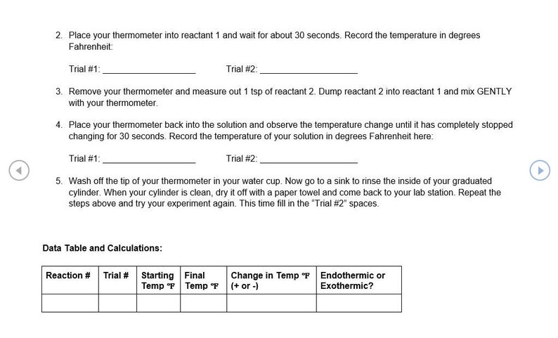 Endothermic and Exothermic Reactions Lab - 8th - 10th Grade Science ...