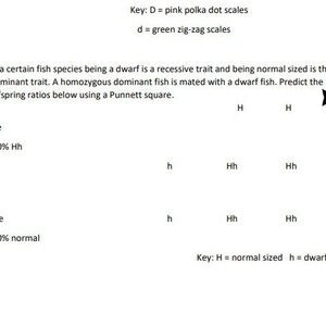 Monohybrid and Dihybrid Crosses Worksheet - 9th Grade Science ANSWER ...