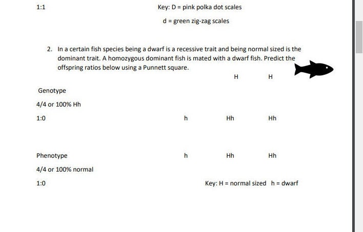 Monohybrid and Dihybrid Crosses Worksheet - 9th Grade Science ANSWER ...