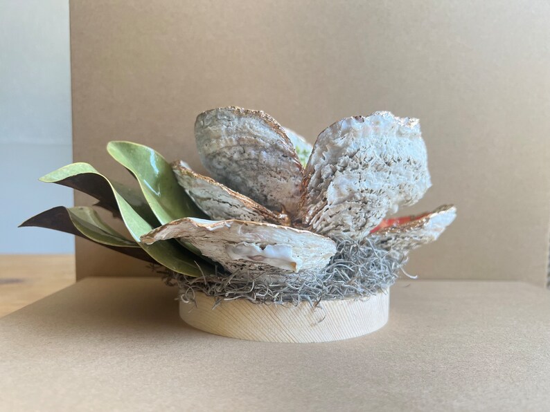 Handmade Flower Decor ,shell Flower ,oyster Flower ,california Poppies ...