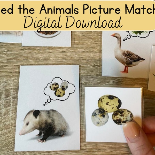 Kindergarten Task Box Printable - Etsy