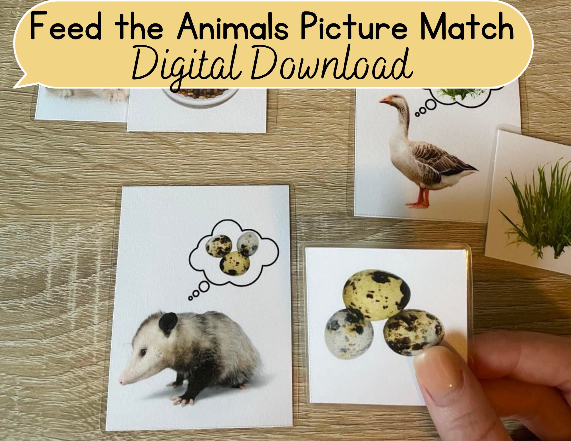 Feed the Animals, Picture Matching, Printable, Digital Download ...