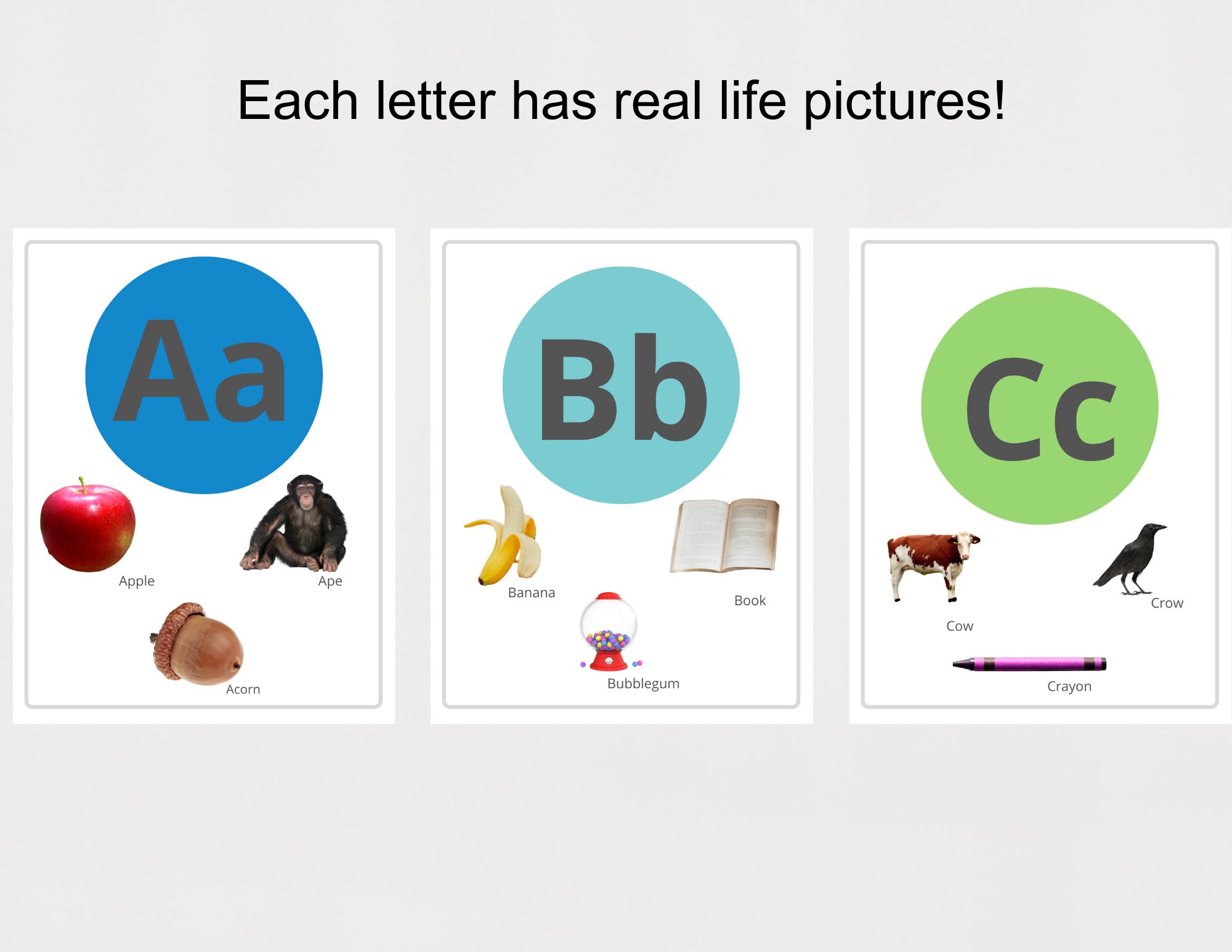 Ocean Classroom Circle Time Decor Bundle - Etsy