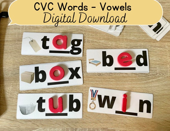 CVC Words Vowel Practice Consonants and Vowels Literacy | Etsy